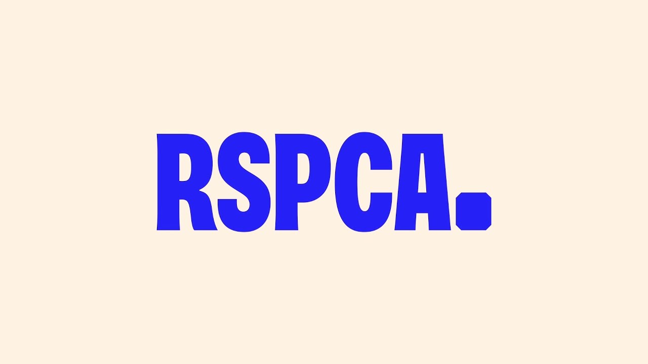 RSPCA’s New Brand: A Leap Forward for Animal Welfare? | think3